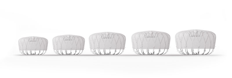 Heart & Vascular Care | Watchman FLX | Powers Health