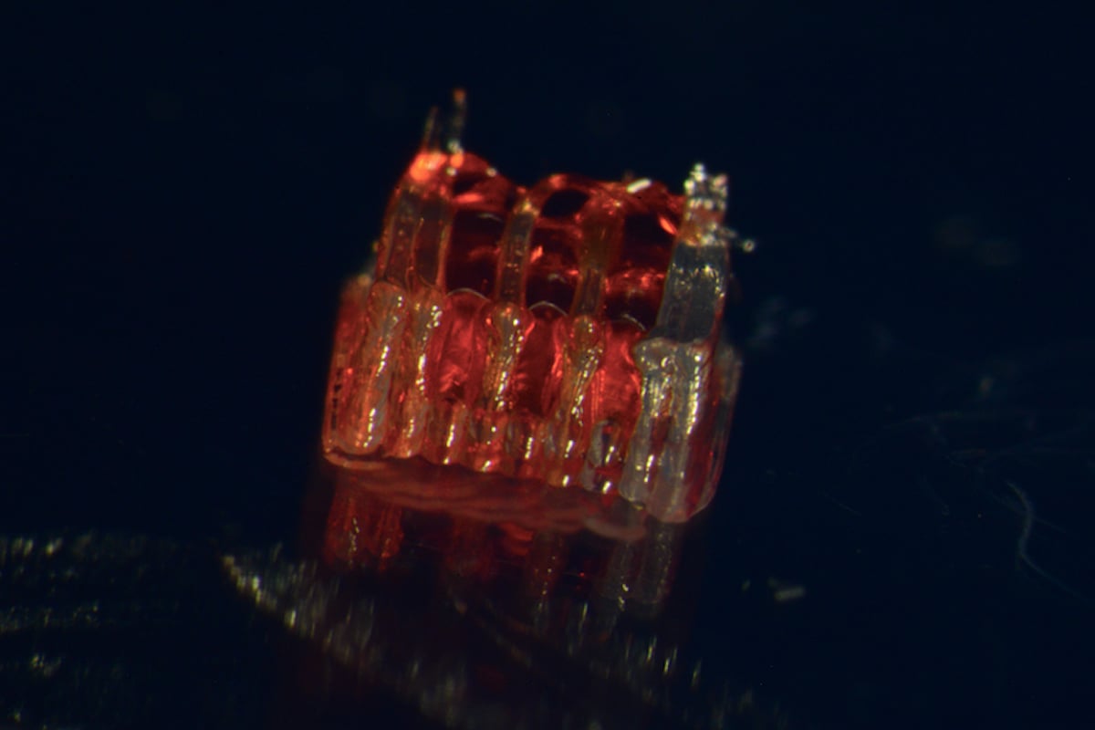 3D Printing Offering Hope For Spinal Cord Injuries | Powers Health