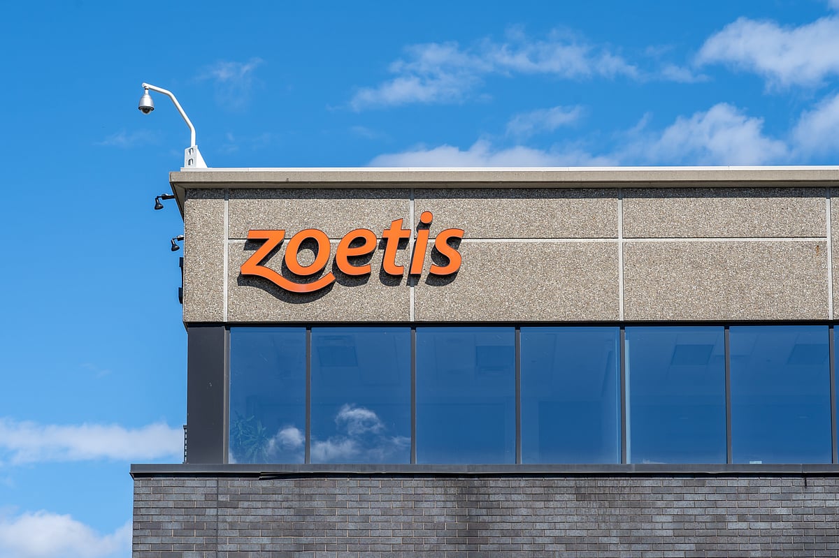 Zoetis Gets Green Light for Bird Flu Vaccine as Outbreak Worsens ...