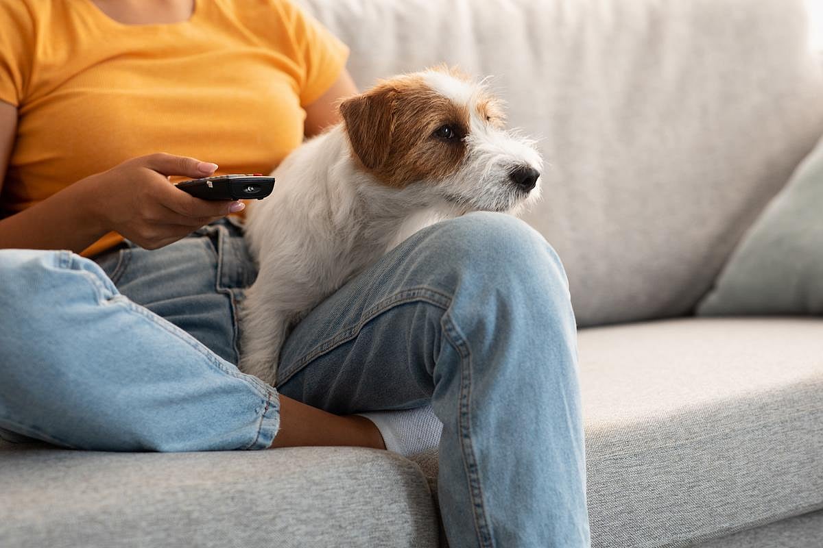 Dog Owners Feel Similar Grief Whether Pets Euthanized Die Naturally ...
